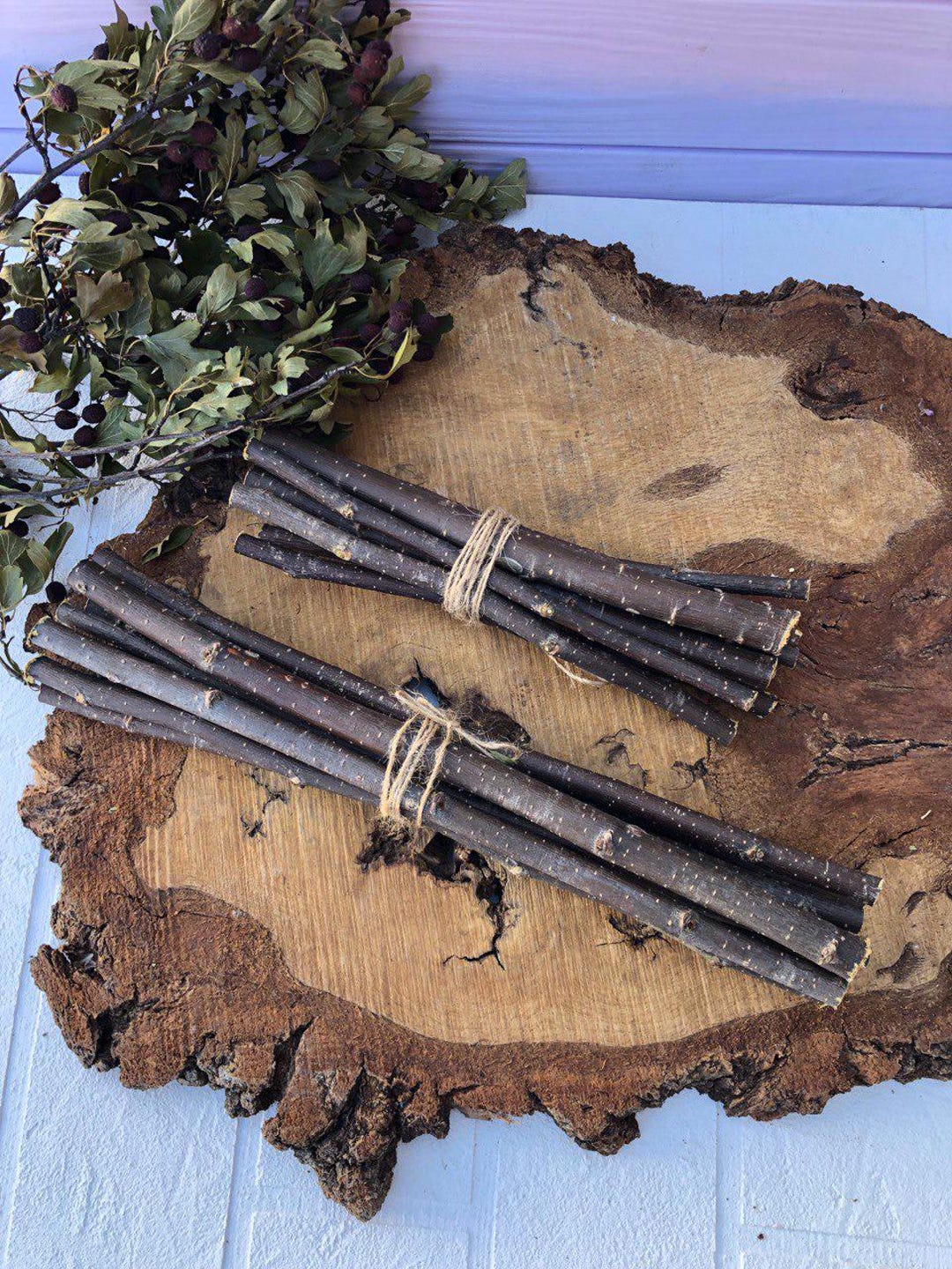 Elm Tree Sticks Set of 10/20, Elm Twigs Branches, 7.8 - 11.8 '' Long, 0 ...