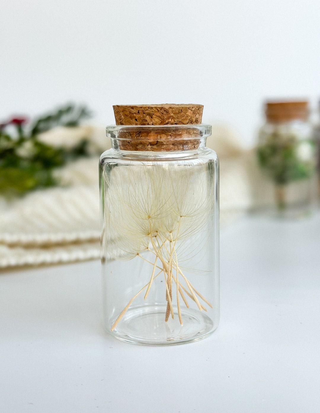 Dandelion Wish Bottle Mini Bottle Gift Dandelion in a Bottle, Glass ...