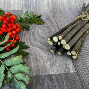 Bundle of Wooden Rowan Sticks 15 Pieces, Rowan Wood Sticks Mountain Ash ...