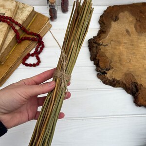 Dried Yarrow Stalks Stems Sticks Achillee Divination I Ching 50 Dried ...