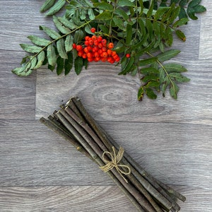 Bundle of Wooden Rowan Sticks 15 Pieces, Rowan Wood Sticks Mountain Ash ...
