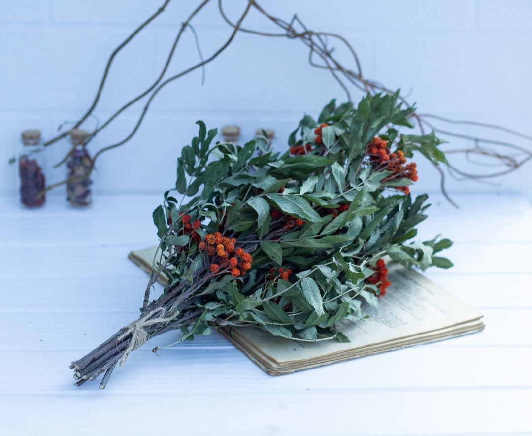 Big Dried Rowan Leaves With Rowan Berry Bundle Branches Rustic Decor ...