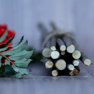 Bundle of Wooden Rowan Sticks 15 Pieces, Rowan Wood Sticks Mountain Ash ...