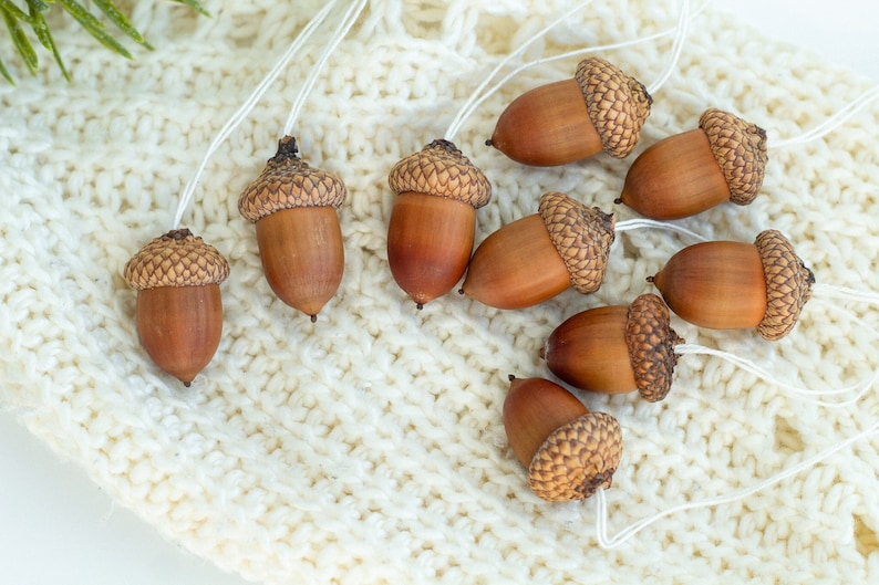 Real Dried Acorns With Caps Ornament, Set of 10, Christmas Ornament ...