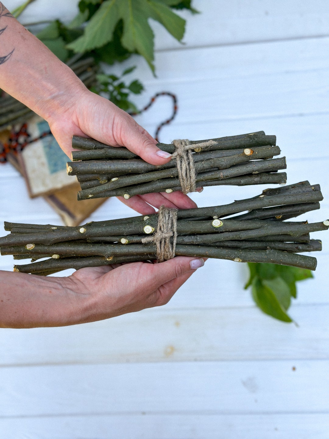 Apple Tree Branches, 10 Apple Sticks, Branches for Decor and Crafts, Branches of Apple ,natural ...