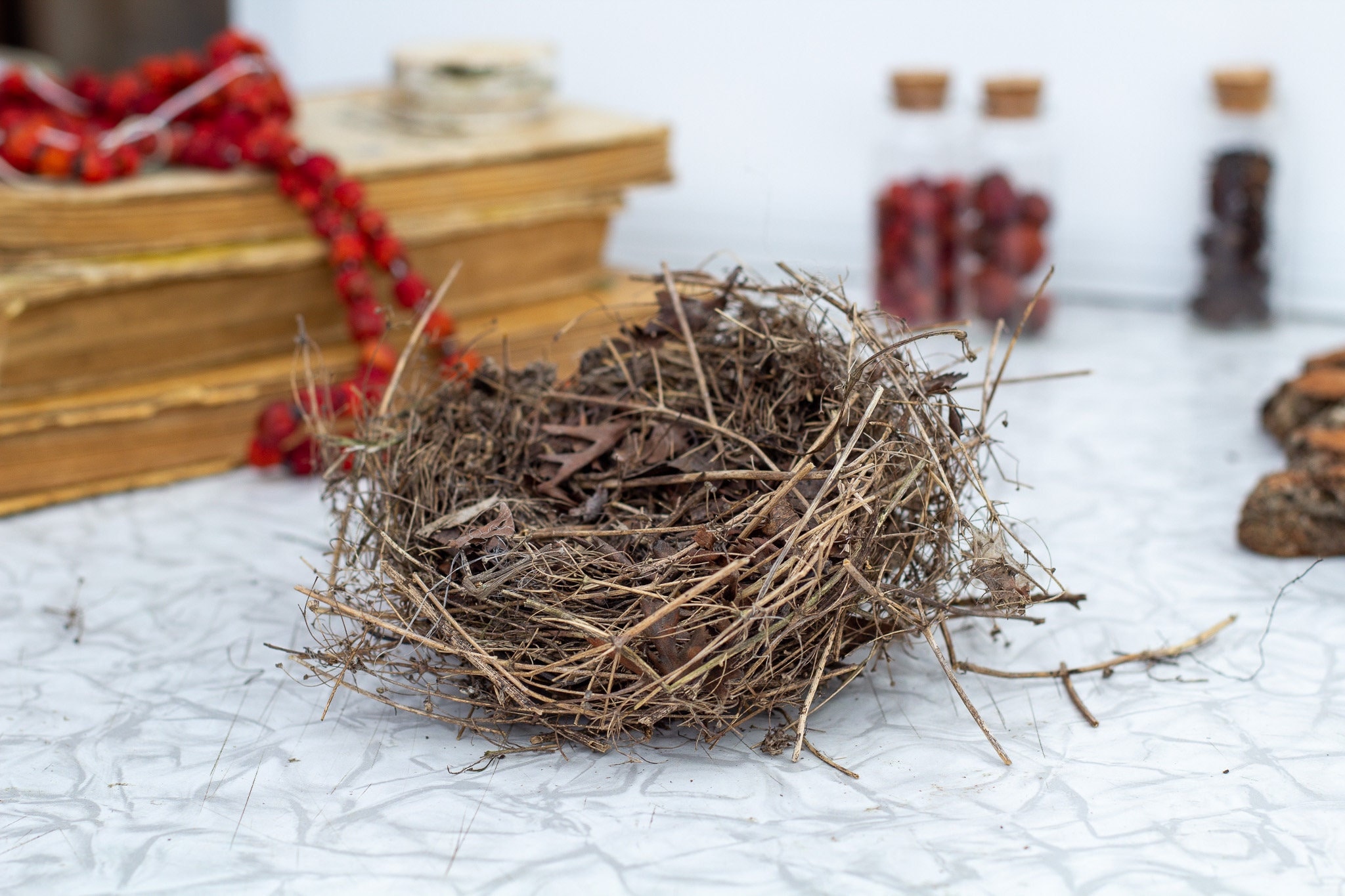 Authentic Bird Nest, Real Bird's Nests Natural Findings Natural Décor ...