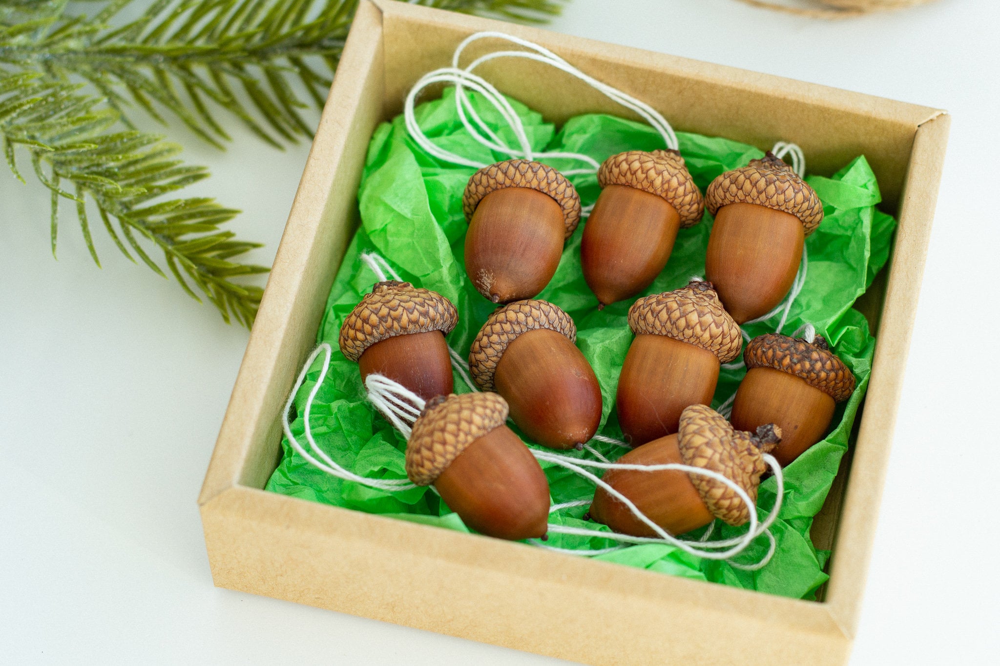 Real Dried Acorns With Caps Ornament Set of 10 Christmas - Etsy