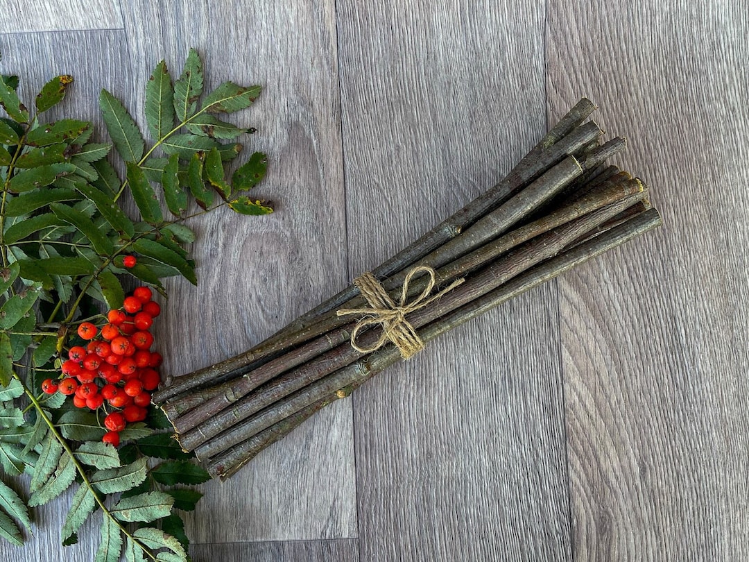 Bundle of Wooden Rowan Sticks 15 Pieces, Rowan Wood Sticks Mountain Ash ...