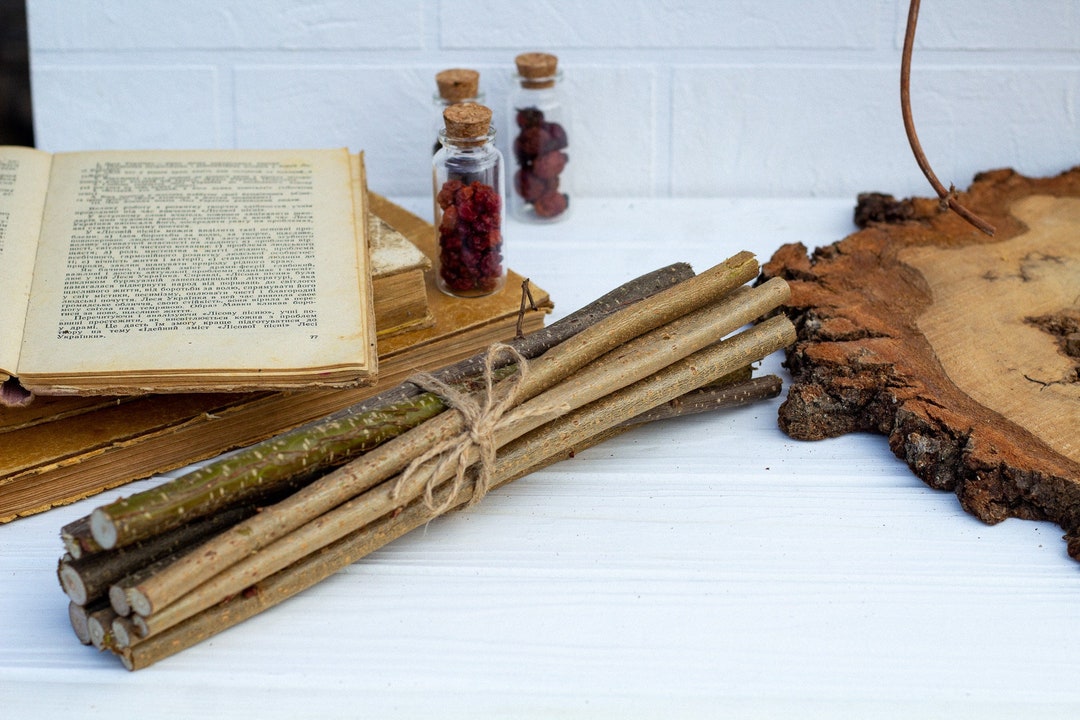 Hazel Branches, Hazel Sticks Set of 10, Natural Dried Branches, Wood ...