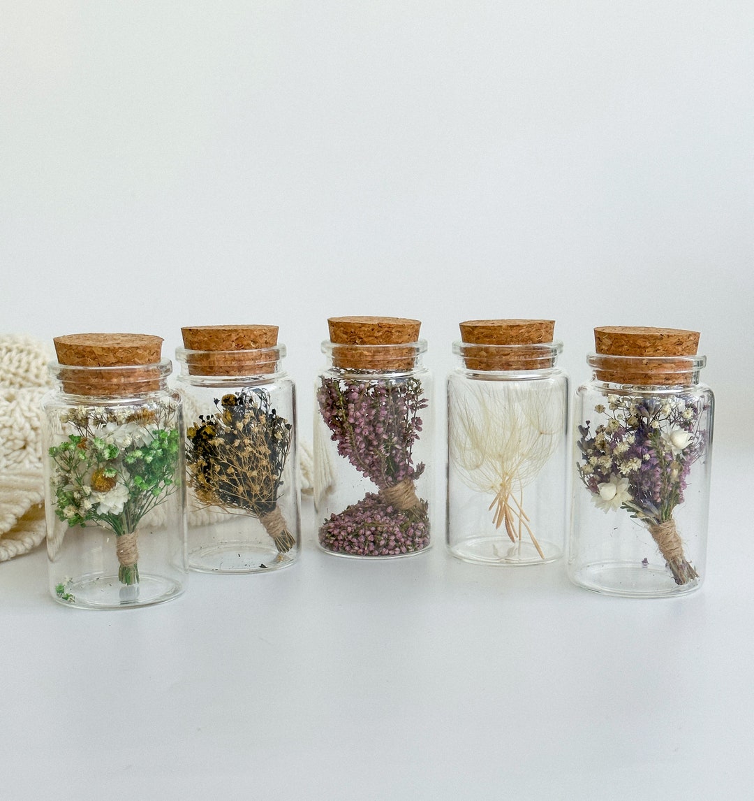 Set of 5 Real Dried Flowers in Glass Bottles, Mini Bottle With Dried ...