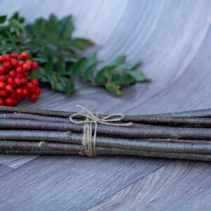 Bundle of Wooden Rowan Sticks 15 Pieces, Rowan Wood Sticks Mountain Ash ...