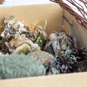 Large Box of Forest Finds Forest Decorations Forest Decoration Box ...