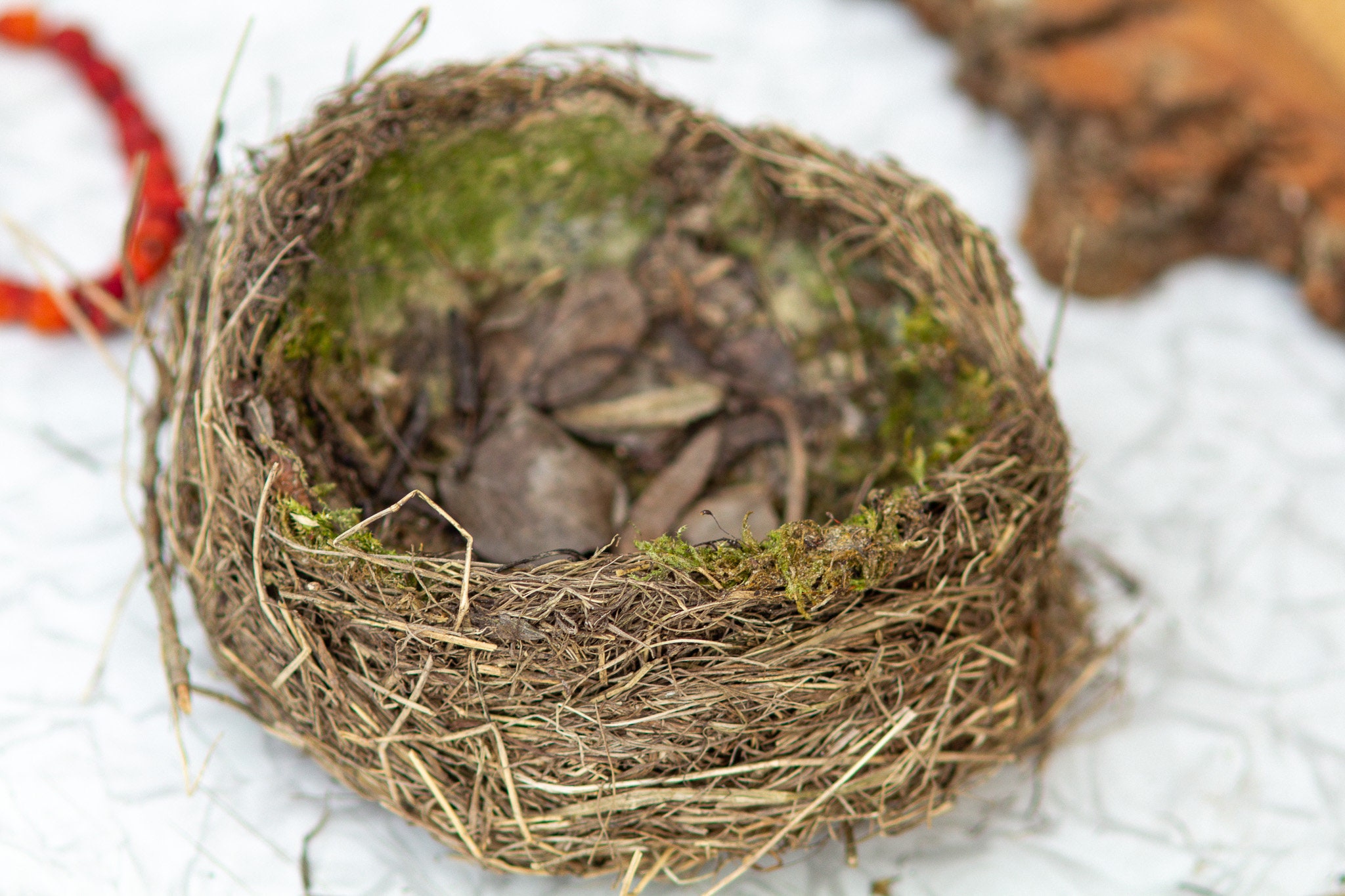 Authentic Bird Nest, Real Bird's Nests Natural Findings Natural Décor ...