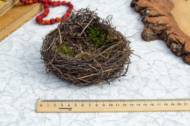 Authentic Bird Nest, Real Bird's Nests Natural Findings Natural Décor ...