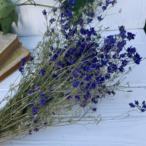 Blue Dried Flowers - Etsy