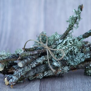 Gray Lichen Twigs 10 Pcs, Branch With Moss 10 Pieces Terrarium ...
