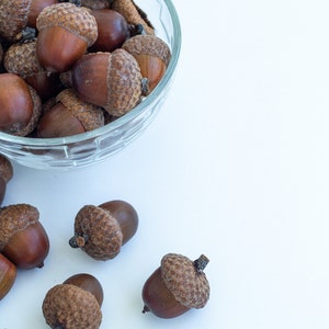 Large Natural Dried Acorns Dried Acorns With Caps, Christmas Decor, Dly ...