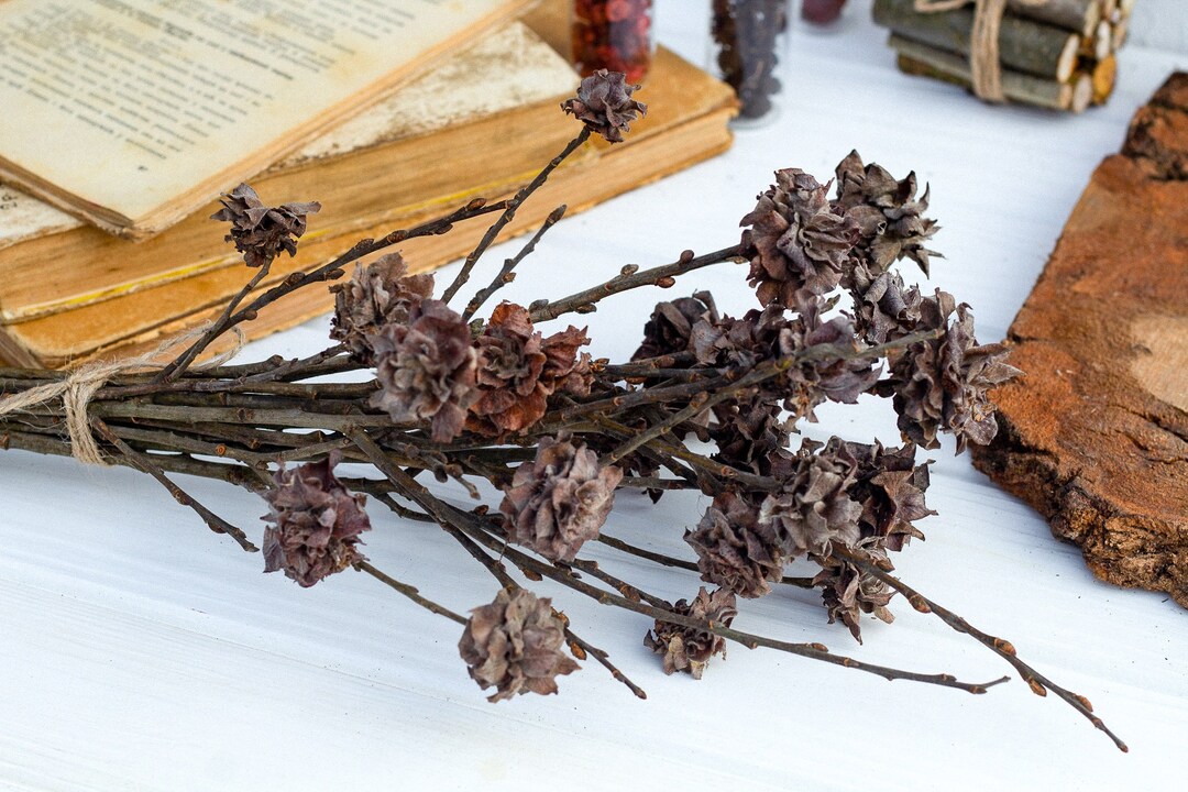 Dried Willow Flowers, Unique Wooden Flowers, Dried Bouquet, Vase Filler ...