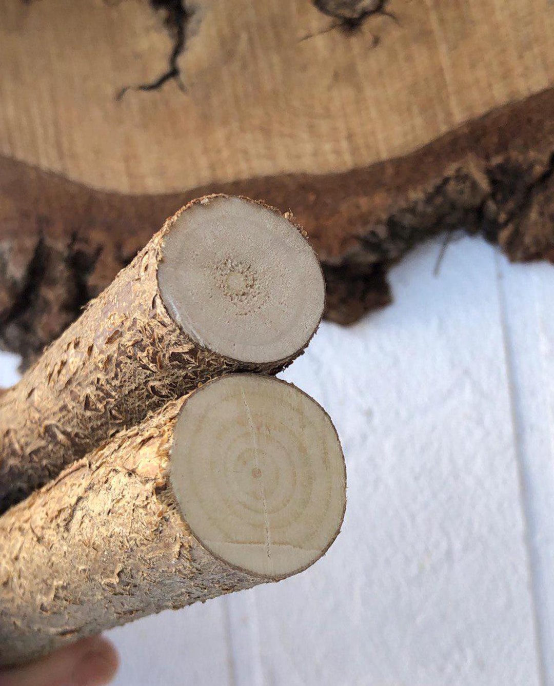 Set of 2 Natural Hazel Stick 0,98'' Diameter, Hazel Branches, Natural ...