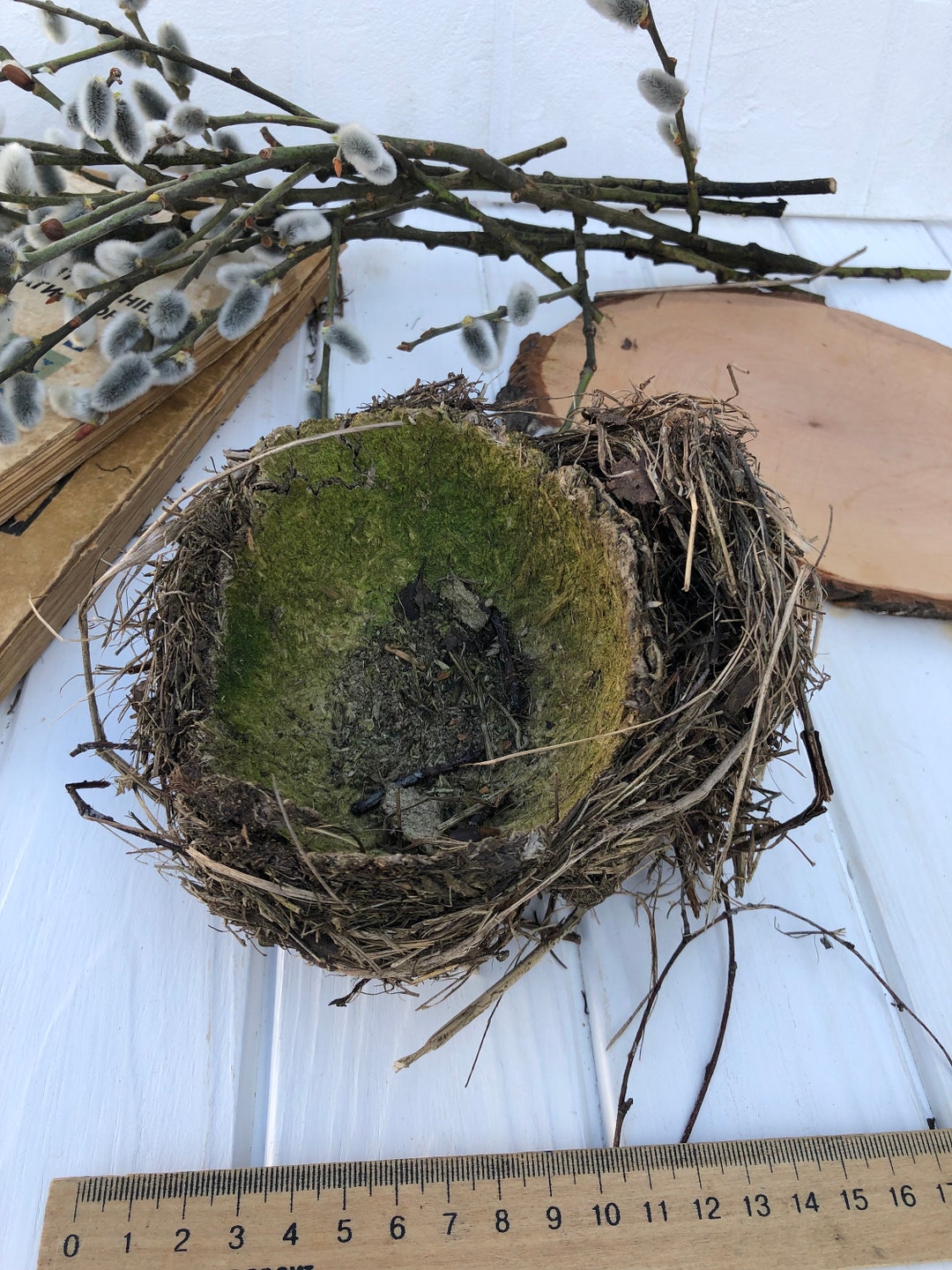 Real Bird's Nest, Authentic Bird Nest, Natural Décor Crafts Supply ...