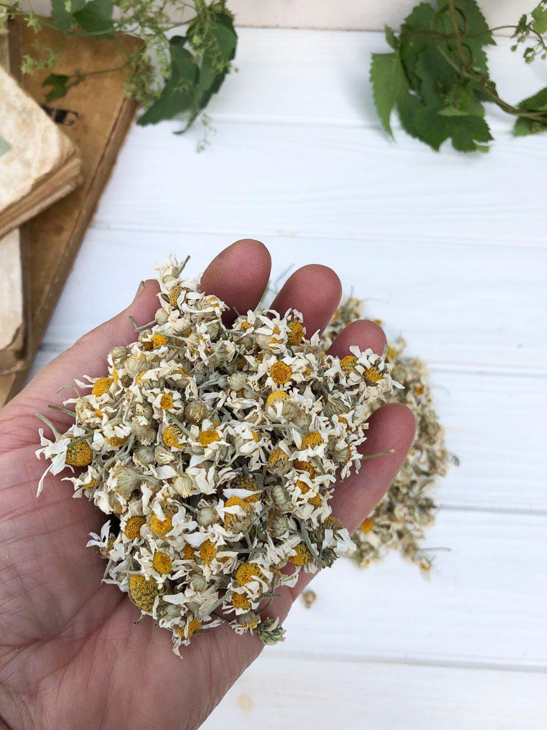 Chamomile Flowers | Matricaria Chamomilla | Dried Yellow-white Blossoms ...