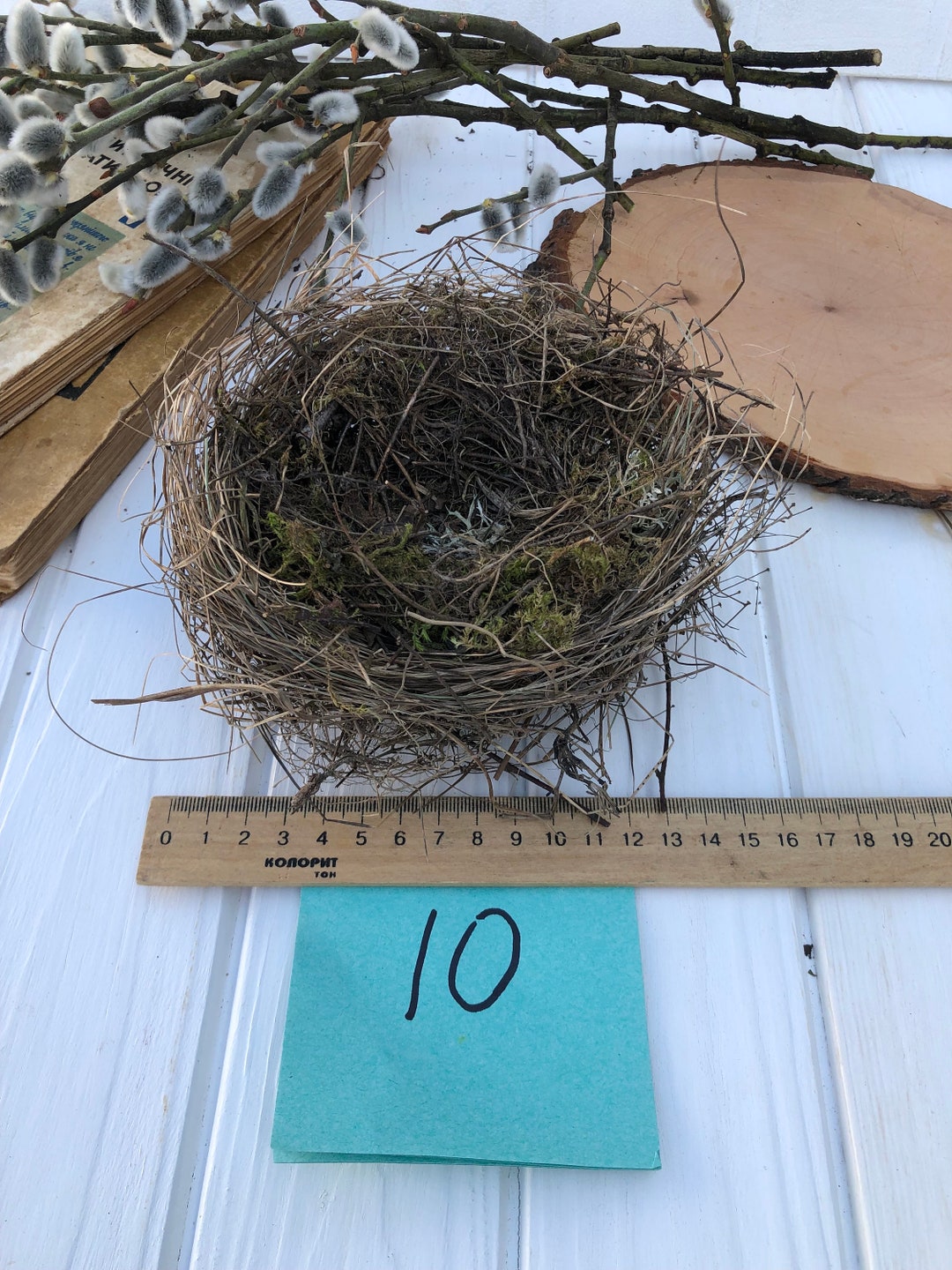 Authentic Bird Nest, Real Bird's Nests Natural Findings Natural Décor ...