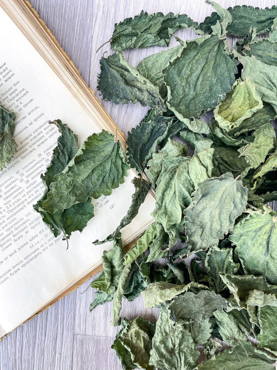 Organic Stinging Nettle Dried Leaves, Stinging Nettle Leaves, Dry ...