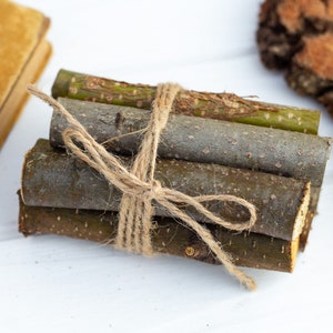 Wood Branches Set of 9, Natural Dried Branches, Wood Sticks, Hazel ...