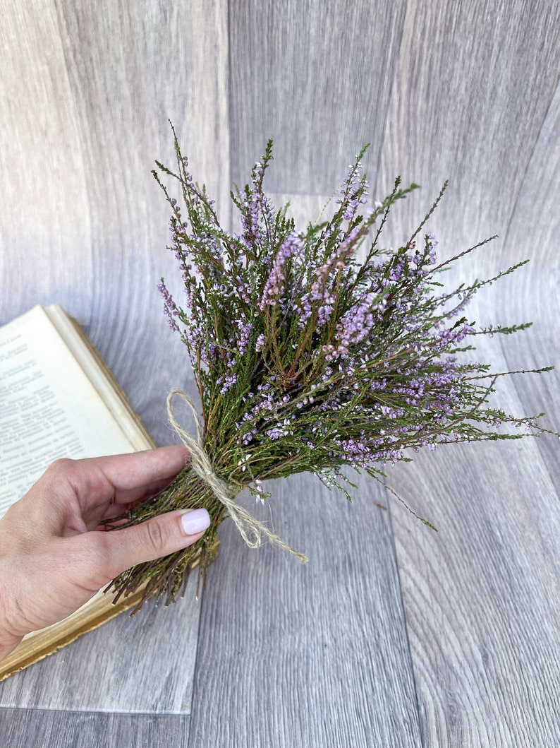 Heather Bouquet Dried Flower Bunch Dried Heather Flower Calluna ...