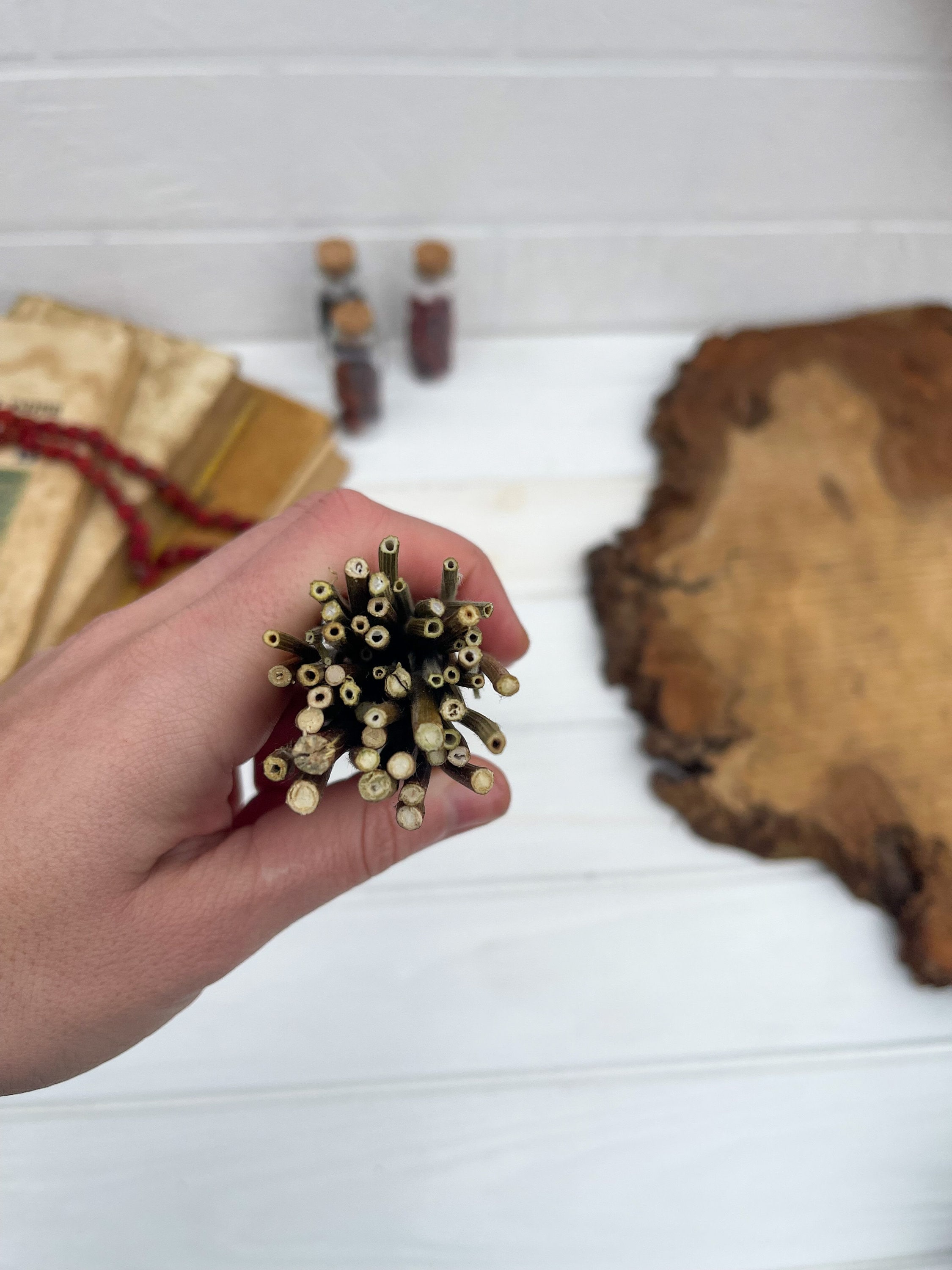 Dried Yarrow Stalks Stems Sticks Achillee Divination I Ching - Etsy