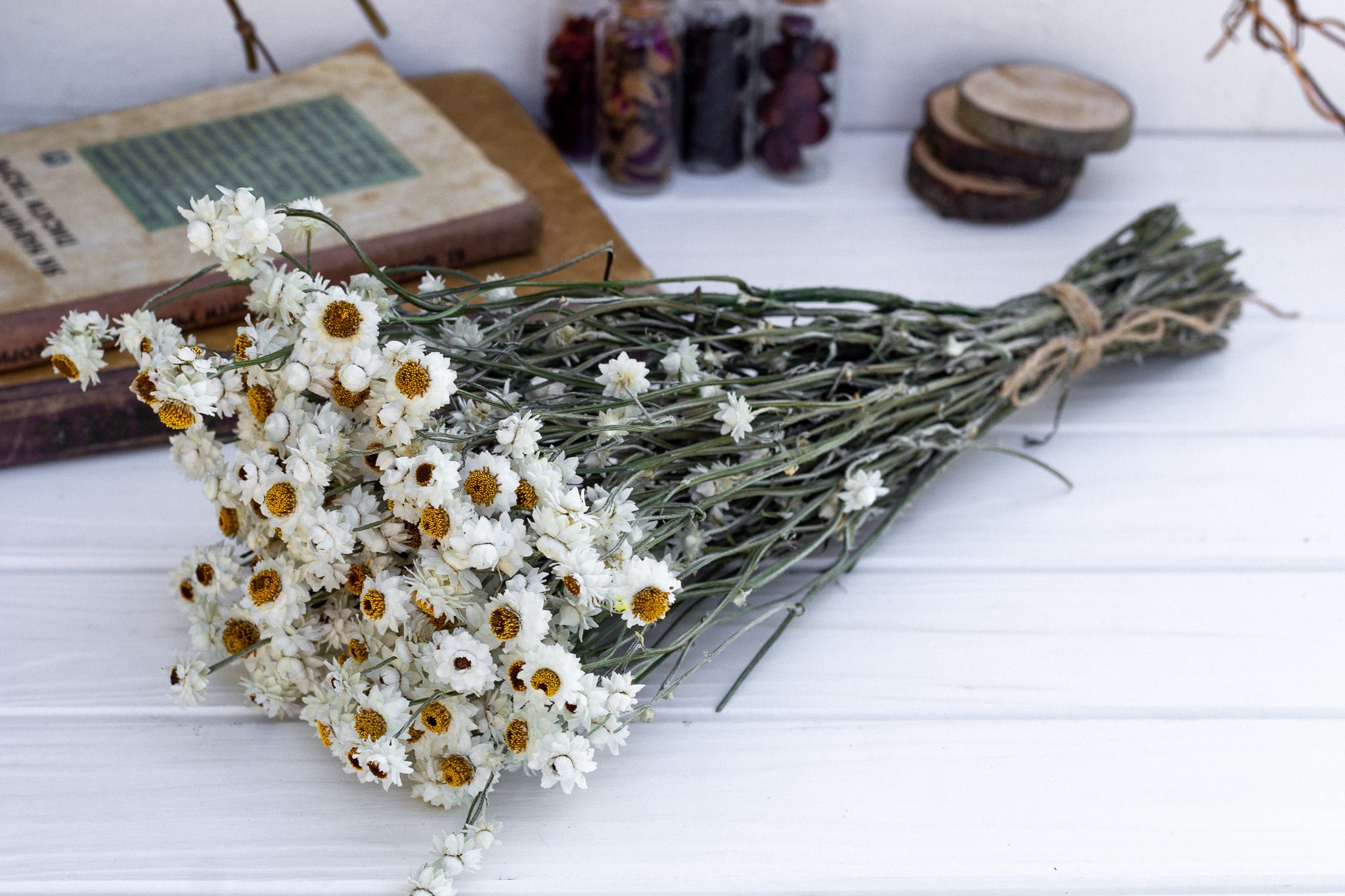 Dried White Helichrysum Dried Flower Bouquets Floral Wedding Decoration ...