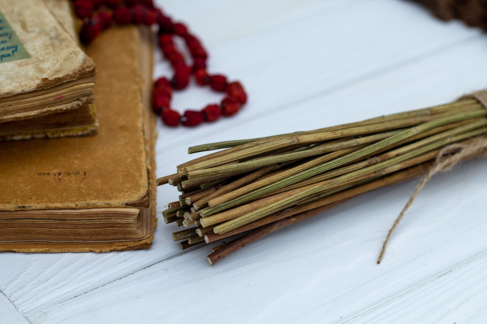 Dried Yarrow Stalks Stems Sticks Achillee Divination I Ching - Etsy