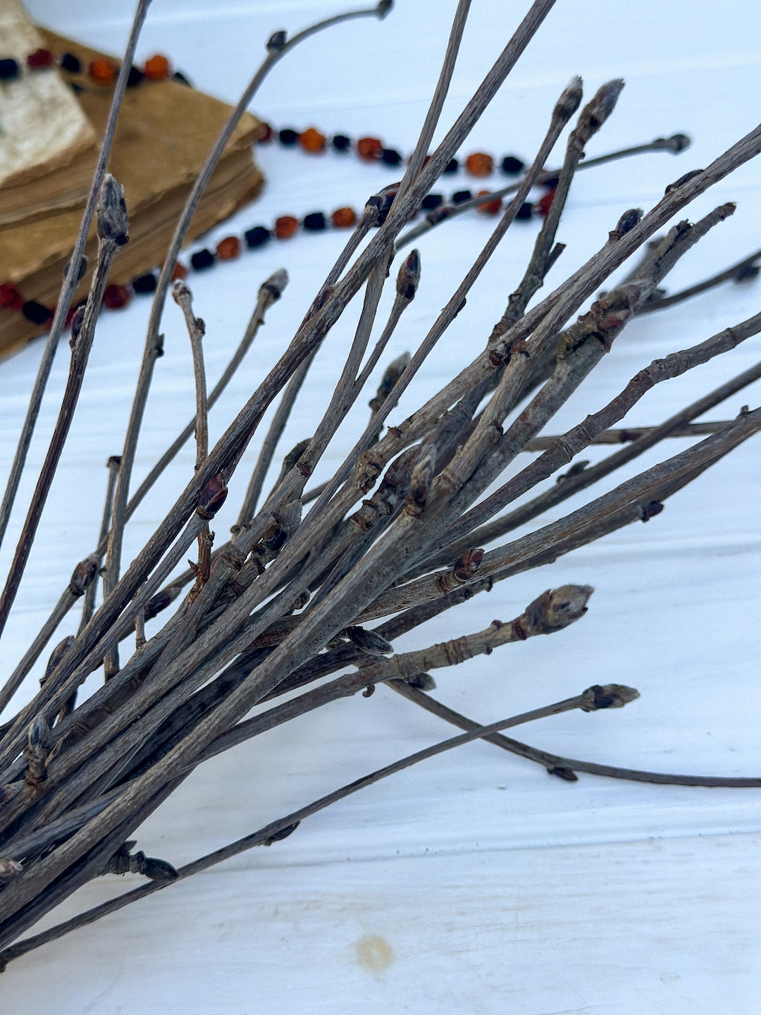 Rowan Branches, Set of 13 Dried Rowan Branches, Rowan Branches for ...