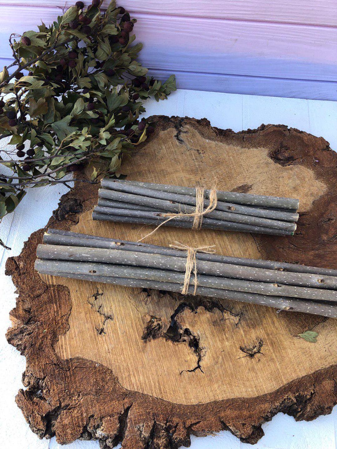 Ash Tree Sticks Set of 10/20, Ash Twigs Branches, 7.8 - 11.8 '' Long, 0 ...