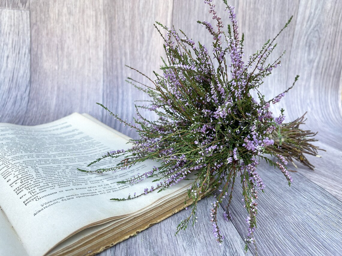 Heather Bouquet Dried Flower Bunch Dried Heather Flower - Etsy