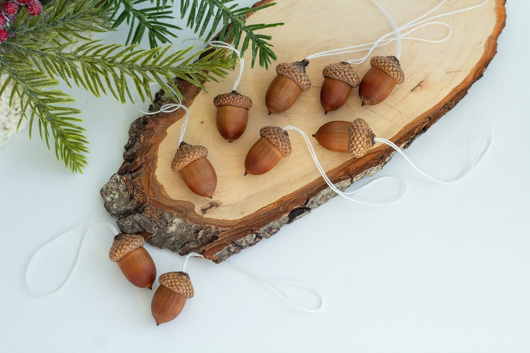 Real Dried Acorns With Caps Ornament, Set of 10, Christmas Ornament ...