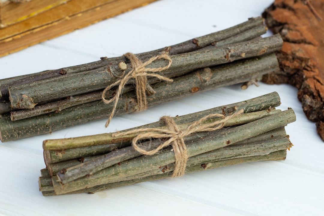 Oak Branches Set of 10, Natural Dried Branches, Wood Branch Oak Branch ...