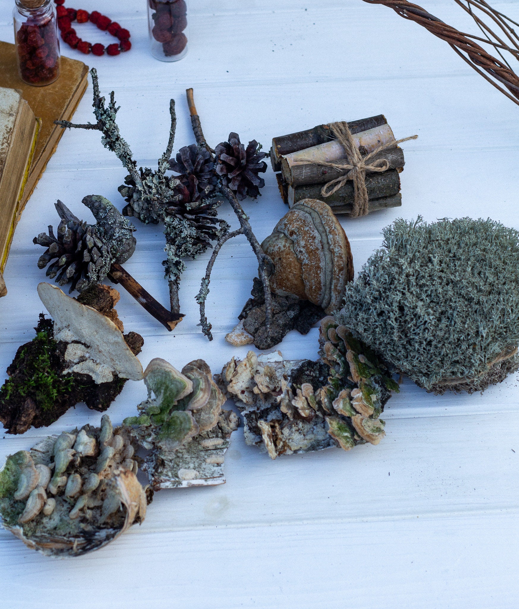 Large Box of Forest Finds Forest Decorations Forest Decoration Box ...