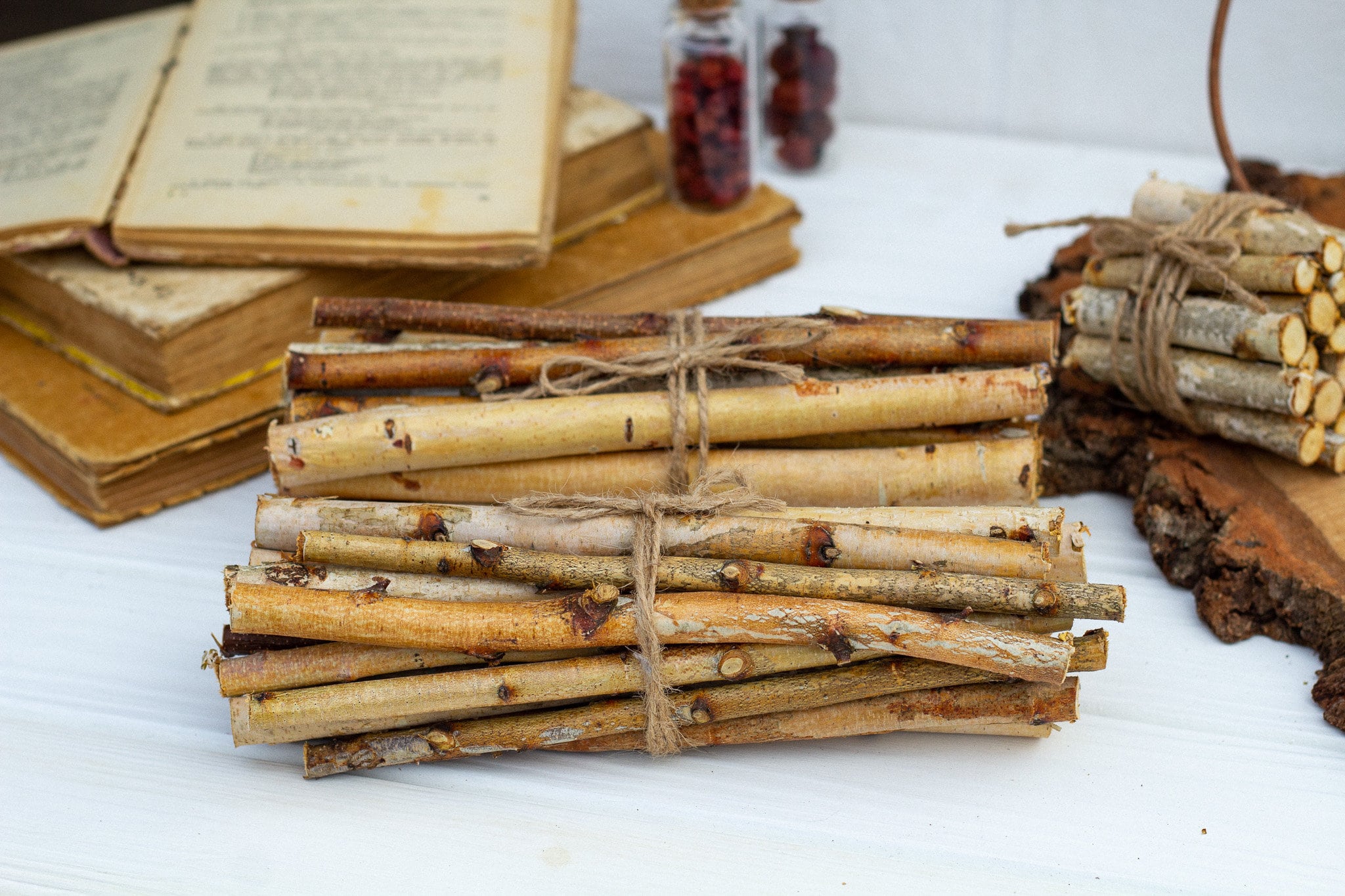 Natural Dried Birch Branches Set of 12, Natural Dried Branches, Birch ...