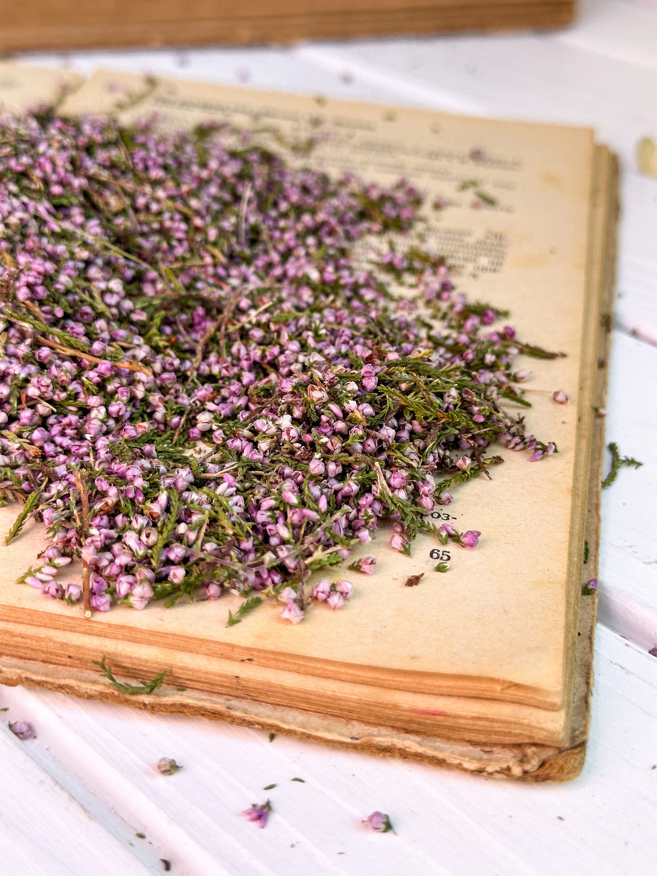 Heather Flowers, Dried Forest Heather, Dried Flowers, Wedding Flowers ...