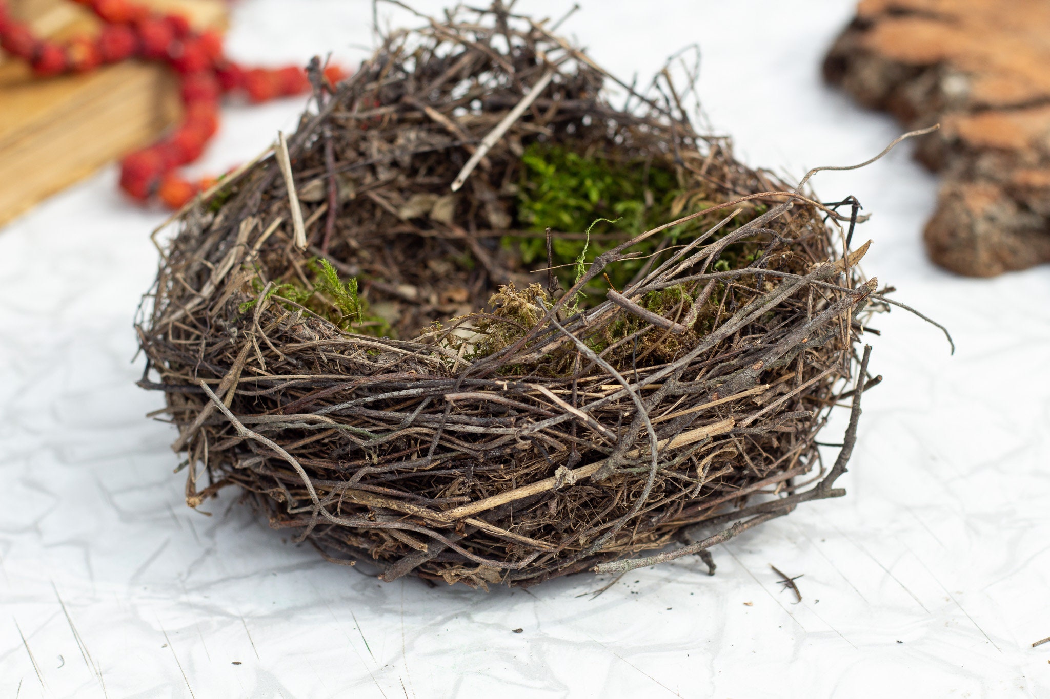 Authentic Bird Nest, Real Bird's Nests Natural Findings Natural Décor ...