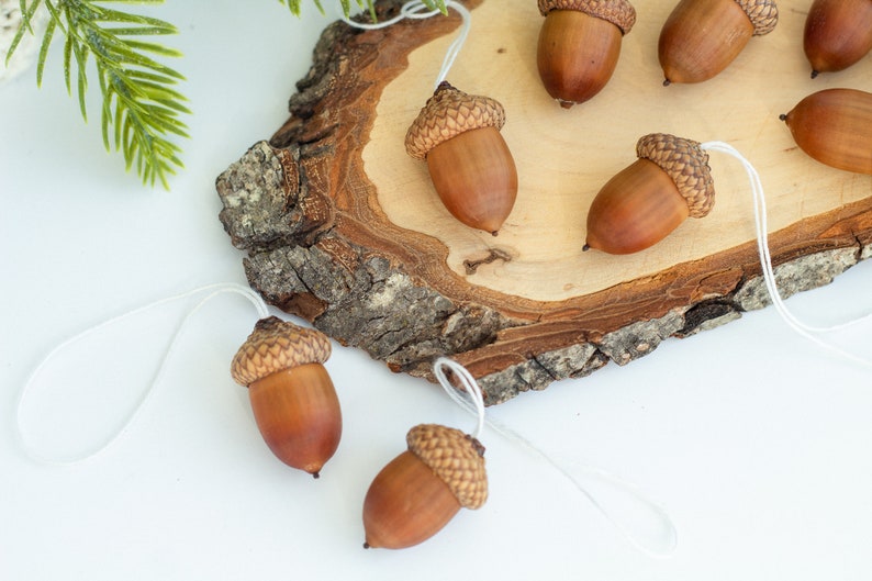 Real Dried Acorns With Caps Ornament, Set of 10, Christmas Ornament ...