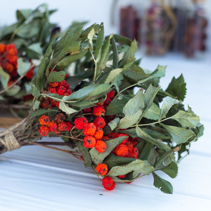 Rowan Tree Art - Etsy