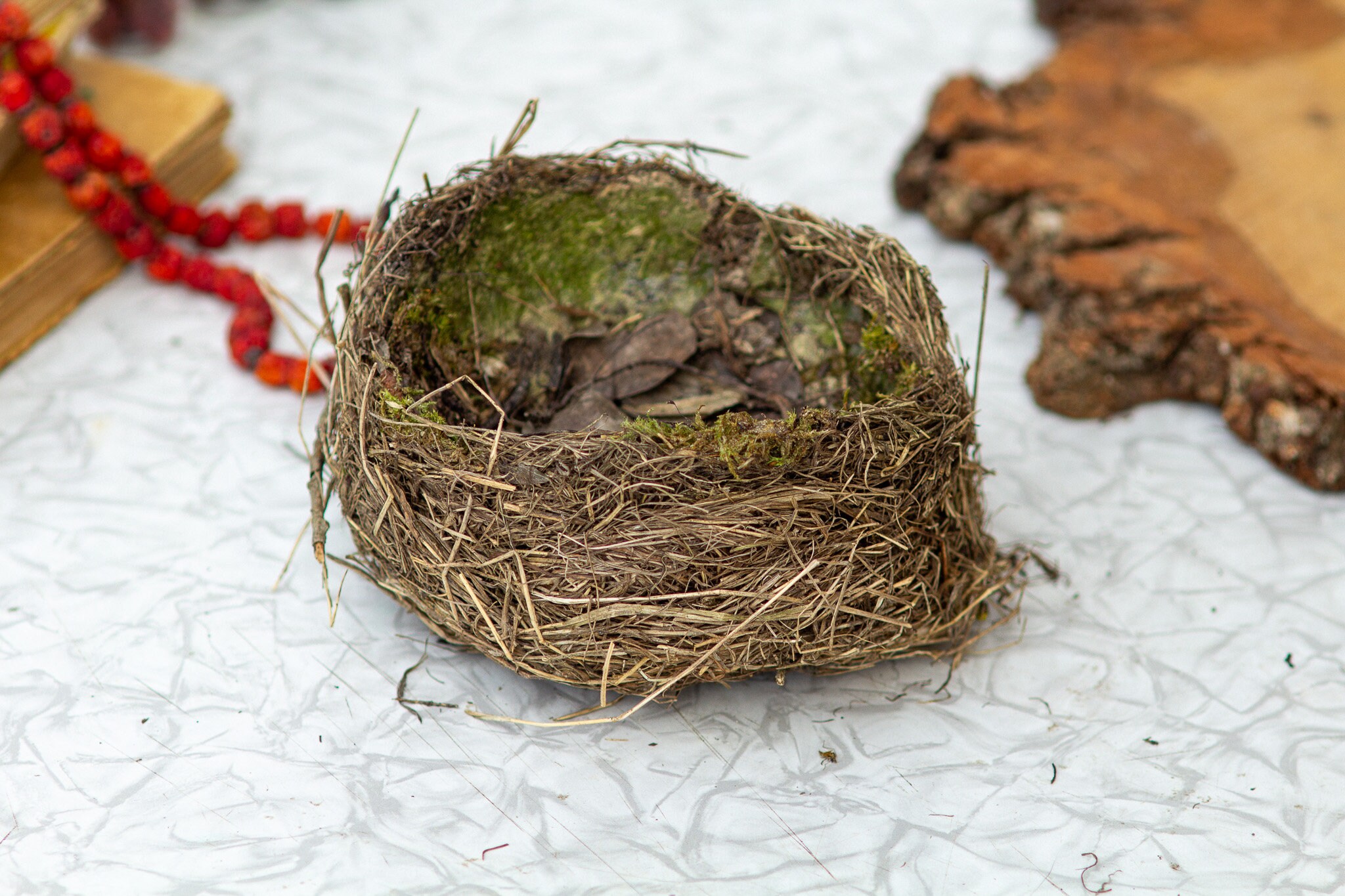 Authentic Bird Nest, Real Bird's Nests Natural Findings Natural Décor ...