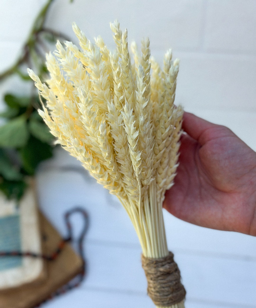 Bleached Dried Wheat Stems | Natural Home Decor | Rustic Farmhouse ...