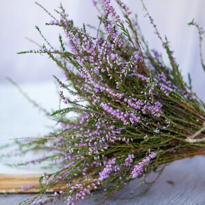 Heather Bouquet Dried Flower Bunch Dried Heather Flower Calluna ...