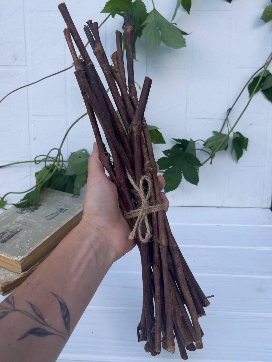 10 Grape Sticks Vine, Vine Branches Dried, Branches Vine Twigs , Wooden ...