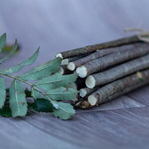 Bundle of Wooden Rowan Sticks 15 Pieces, Rowan Wood Sticks Mountain Ash ...