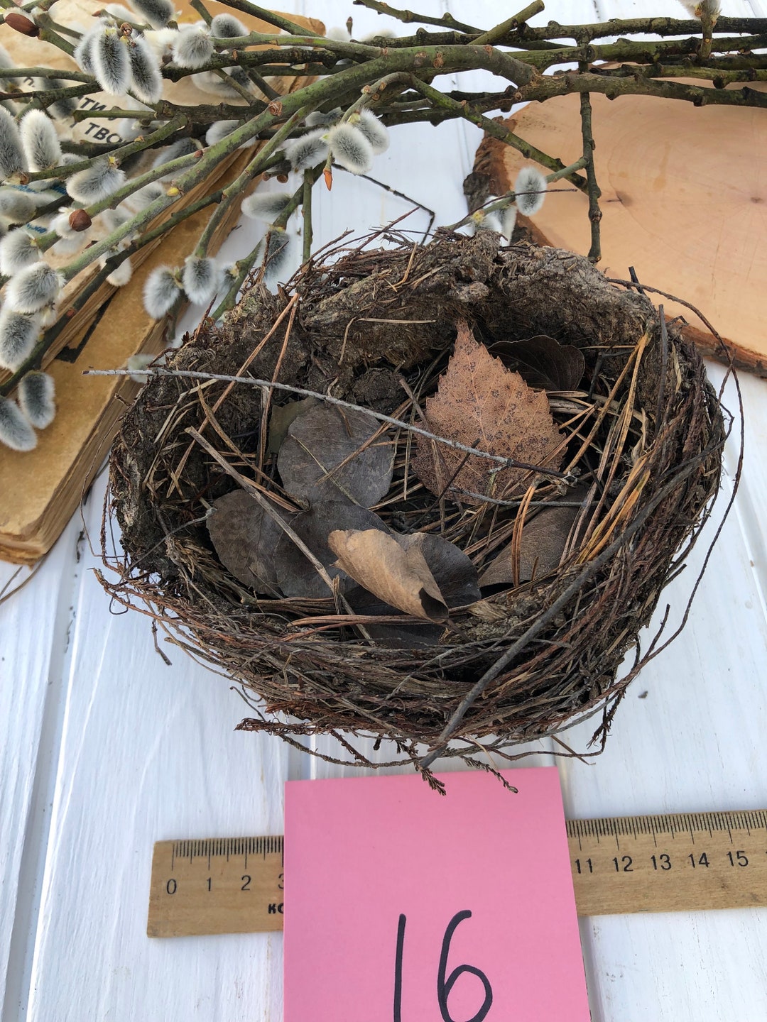 Authentic Bird Nest, Real Bird's Nests Natural Findings Natural Décor ...