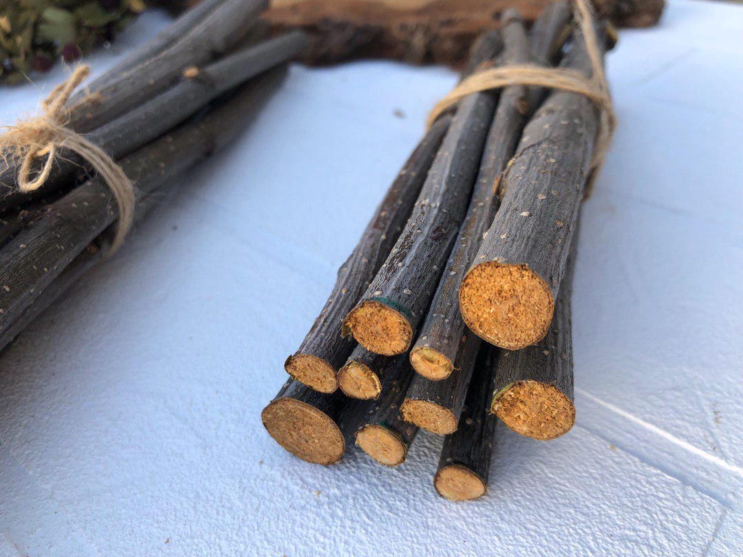 Alder Tree Sticks Set of 10/20, Alder Twigs Branches, 7.8 - 11.8 ...